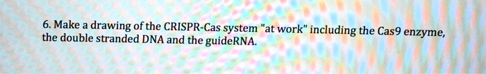 6. Make a drawing of the CRISPR-Cas system "at work" including the Cas9 ...
