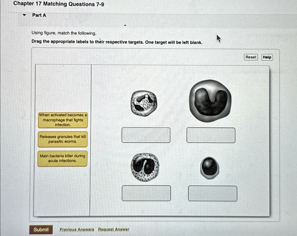 SOLVED: Chapter 17 Matching Questions 7-9 Part A Using figure, match ... SOLVED: Chapter 17 Matching Questions 7-9 Part A Using figure, match ...