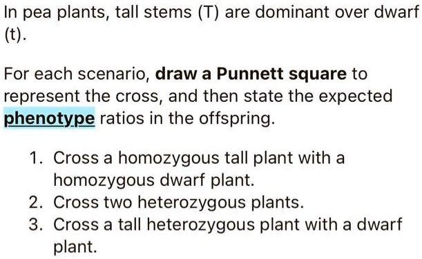 SOLVED: In pea plants, tall stems (T) are dominant over dwarf (t). For ...