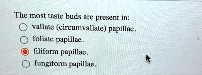 The most taste buds are present in: vallate (circumvallate) papillae ...