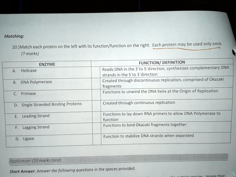 Matching: Match each protein on the left with its function on the right. Each protein may be ...