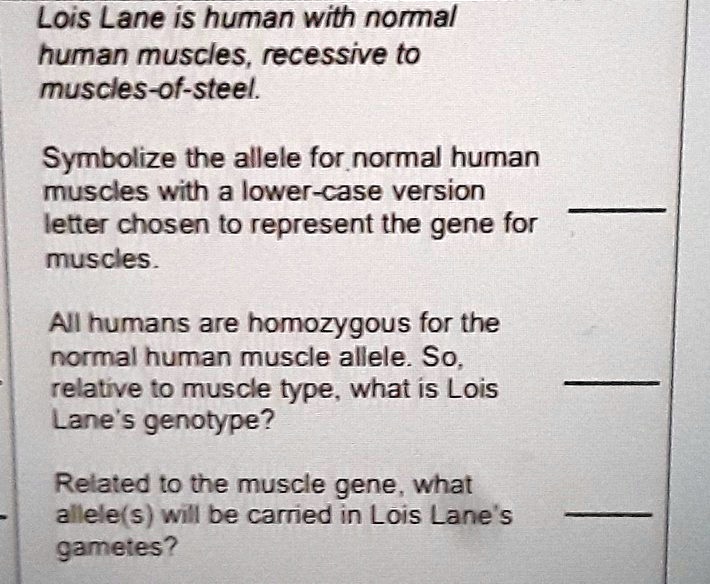lois lane is human with nommal human muscles recessive to muscles of ...