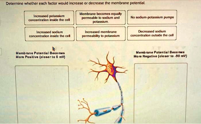 Solved Determine Whether Each Factor Would Increase Or Decrease The 2241