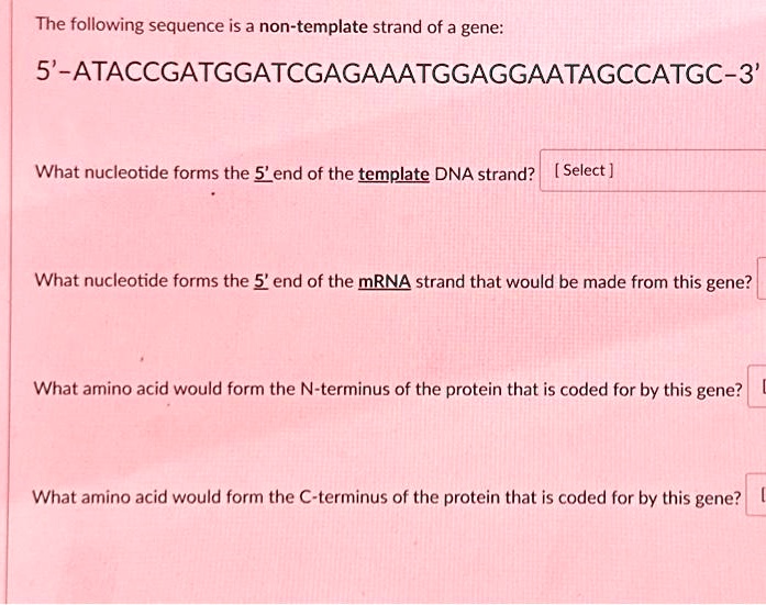 The following sequence is a non-template strand of a gene: 5 ...