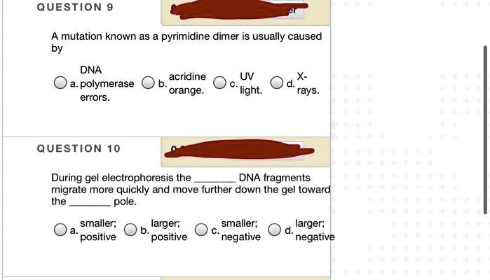 SOLVED: QUESTION A mutation known as pyrimidine dimer is usually caused ...