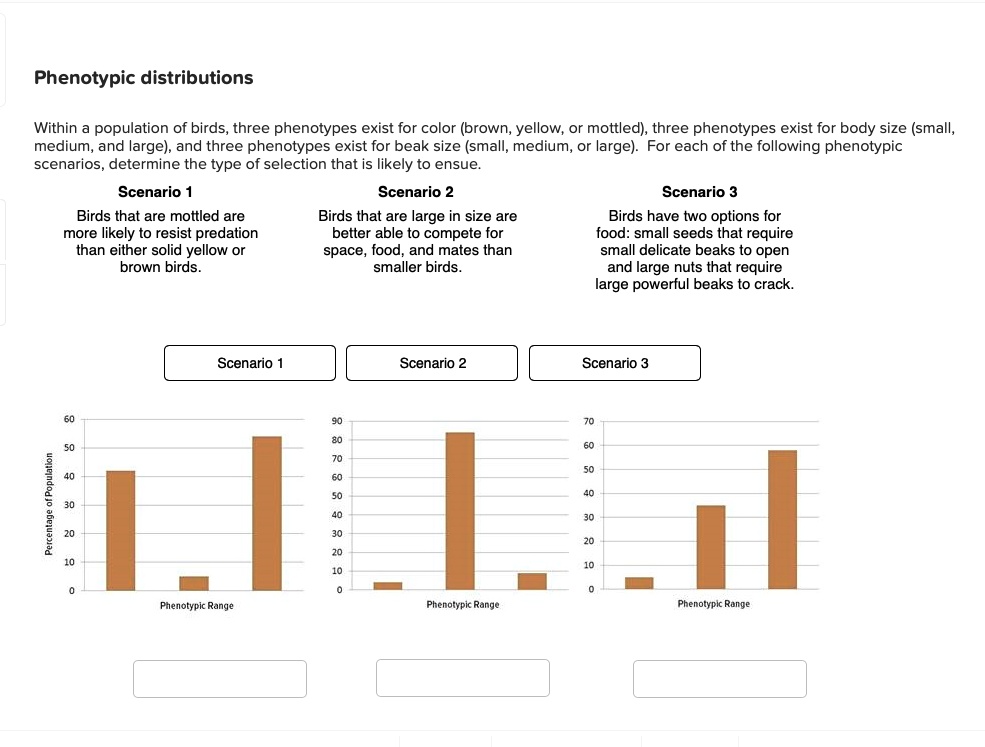 SOLVED: Phenotypic distributions Within population of birds, three ...