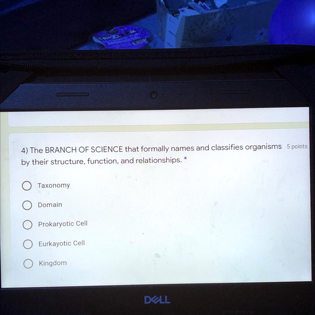 SOLVED: ' #4 6th grade science 4) The BRANCH OF SCIENCE that formally ...
