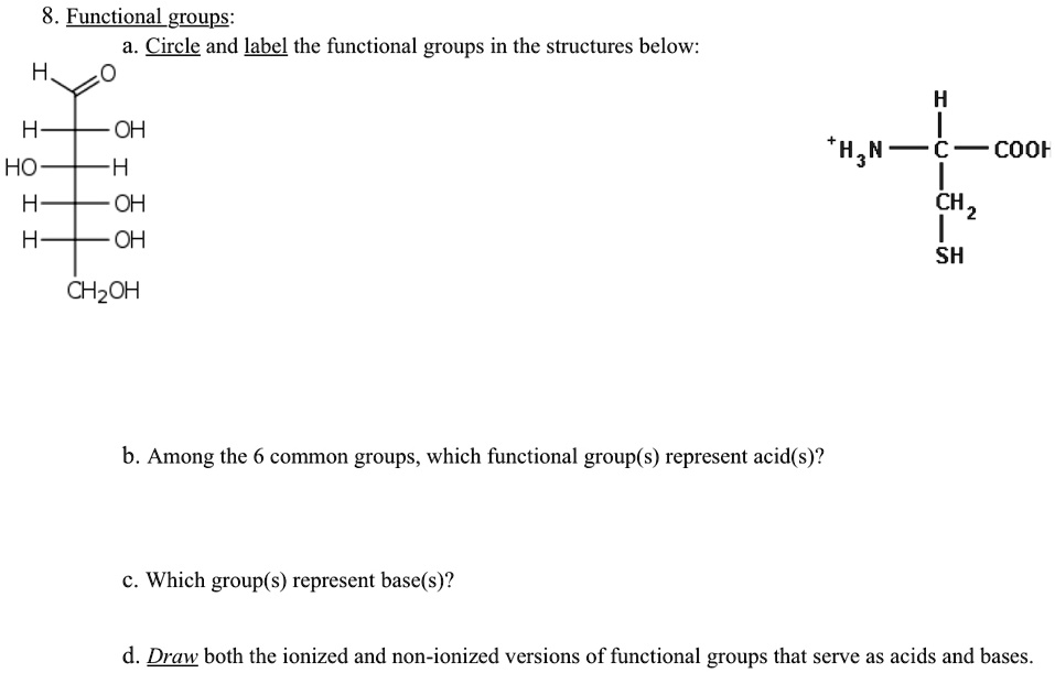 SOLVED: Functional groups: Circle and label the functional groups in ...