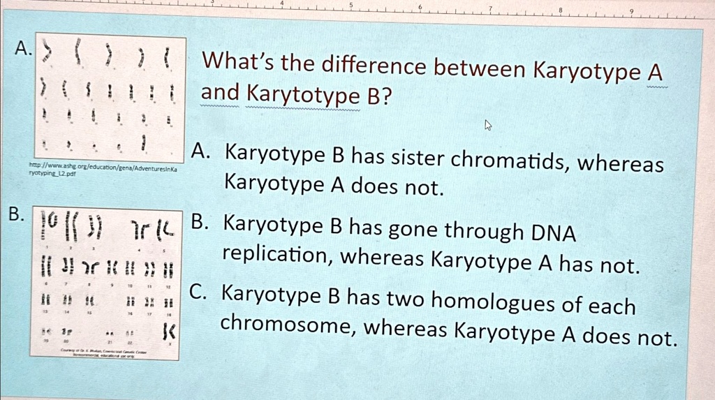 A.>() What's the difference between Karyotype A and Karytotype B? http ...