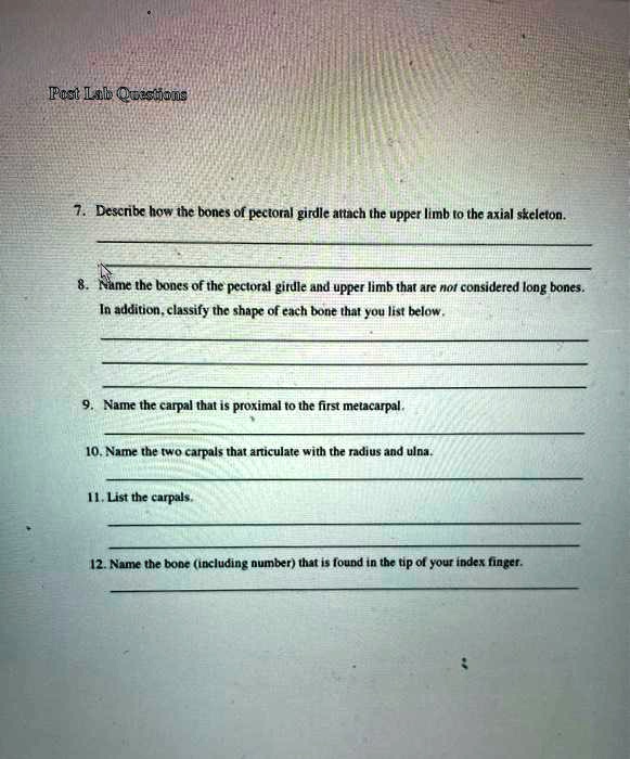 SOLVED: 7. Describe how the bones of the pectoral girdle attach the ...