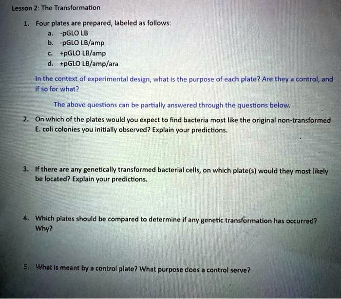lesson 2 the transformation four plates are prepared labeled as follows ...