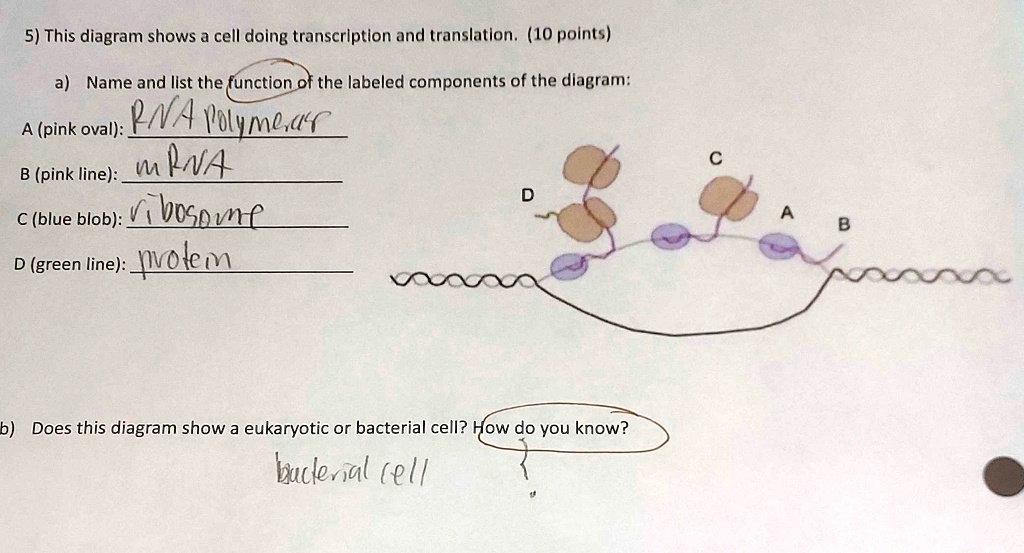 SOLVED: Texts: Need to do corrections for part B. I was able to do part ...