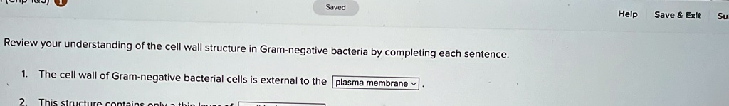 review your understanding of the cell wall structure in gram negative ...
