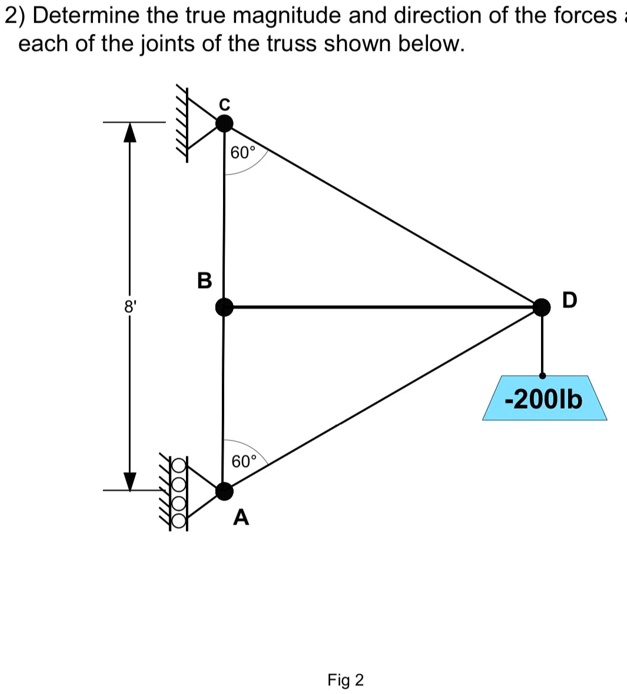 SOLVED: Determine the true magnitude and direction of the forces each ...