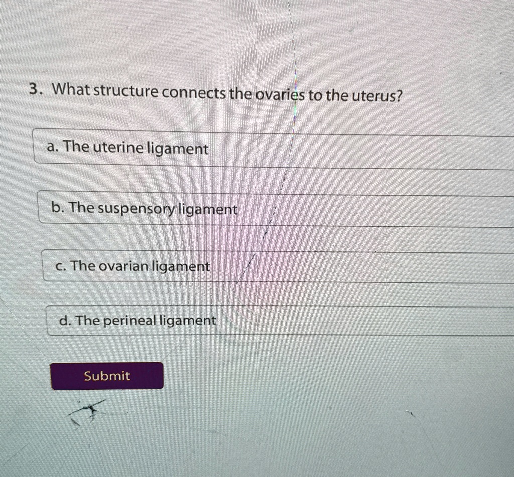 3. What structure connects the ovaries to the uterus? a. The uterine ...