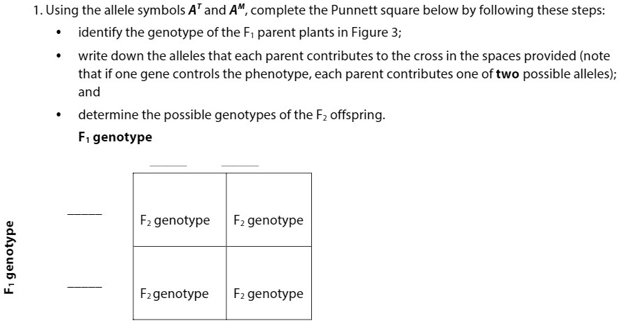1. Using the allele symbols A¹ and A M , complete the Punnett square ...