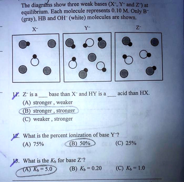 SOLVED:The diagrams show three weak bases (X ; Y-and Z)at equilibrium ...