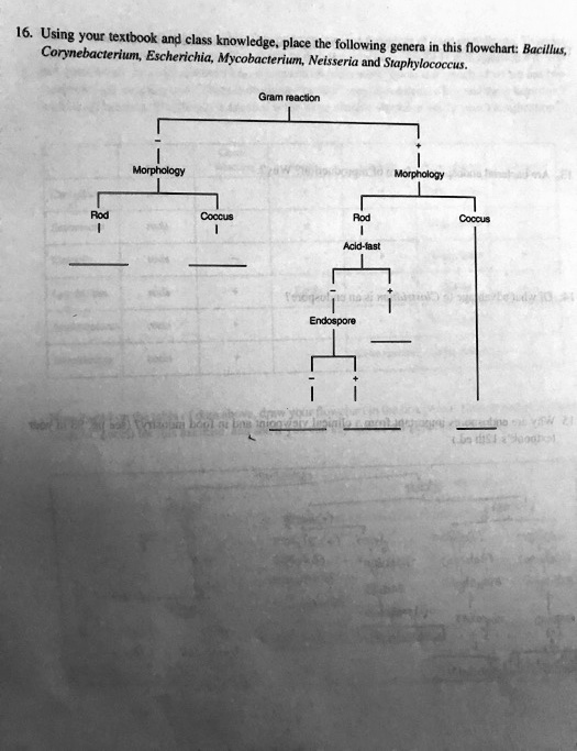 SOLVED: Using - Your textbook and class knowledge; place the following ...