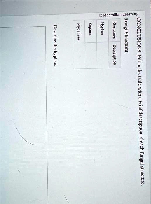 Macmillan Learning CONCLUSIONS: Fill in the table with a...