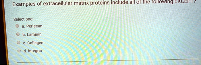 SOLVED: Examples of extracellular matrix proteins include all Of the ...