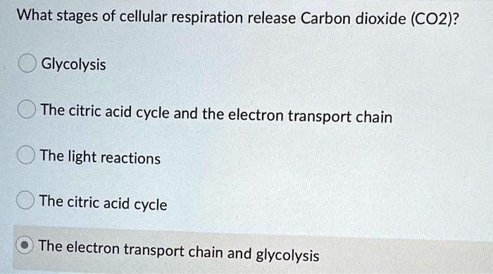What stages of cellular respiration release Carbon dioxide (CO2 ...