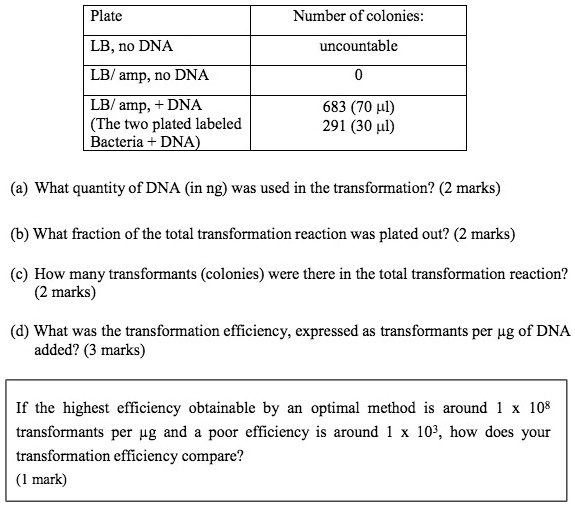 SOLVED: Number of colonies: LB, no DNA uncountable LB/amp, no DNA LB ...
