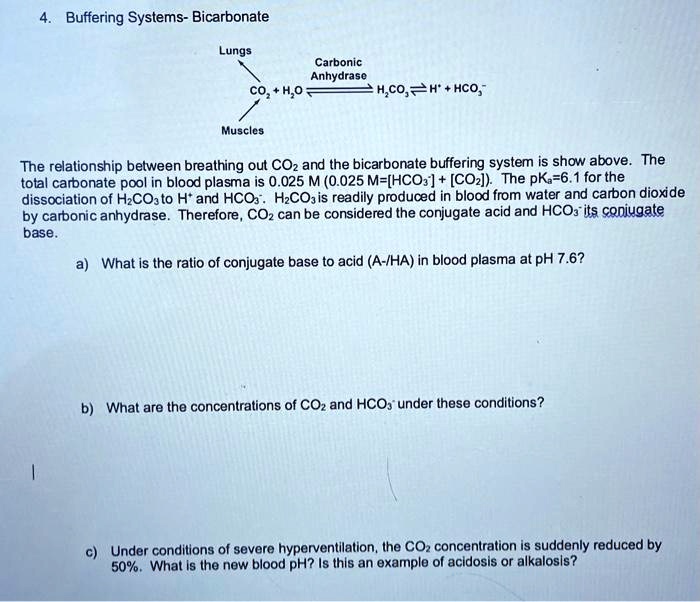 SOLVED: Texts: 4. Buffering Systems - Bicarbonate Lungs Carbonic Anhydrase CO2 + H2O H2CO3 ...