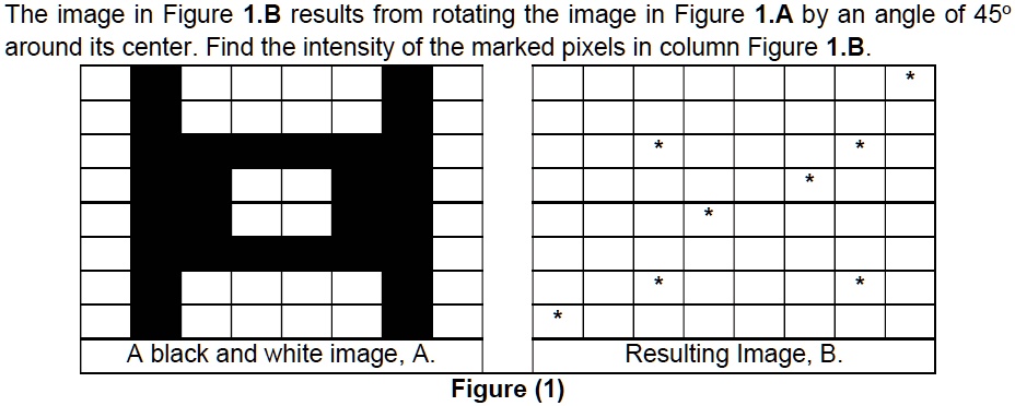 SOLVED: The image in Figure 1.B results from rotating the image in ...
