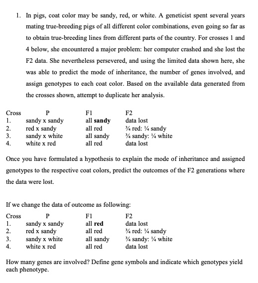 SOLVED: 1. In pigs, coat color may be sandy, red, or white. A ...
