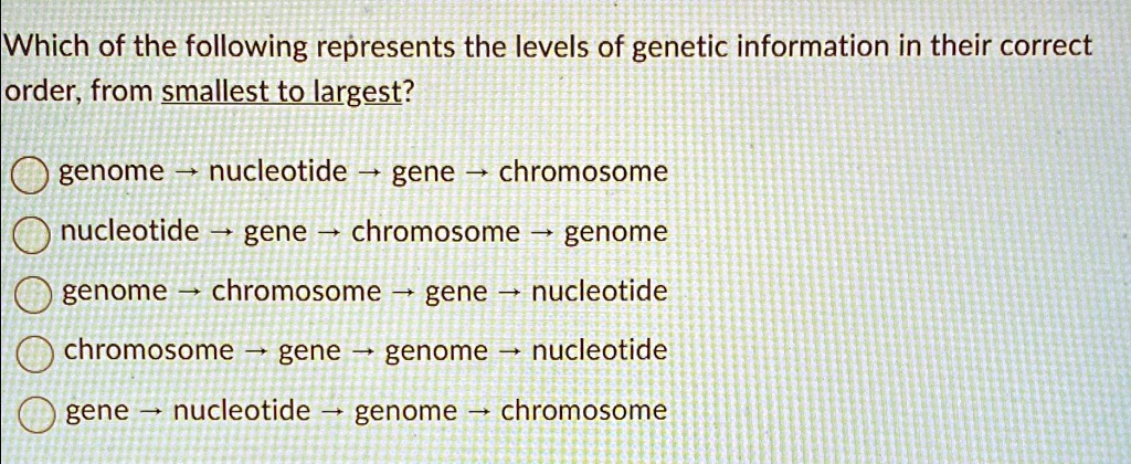 SOLVED: Which of the following represents the levels of genetic information in their correct ...