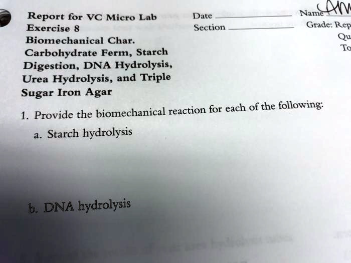 SOLVED: MM Name Grade: Rep Report for VC Micro Lab Date Exercise 8 ...