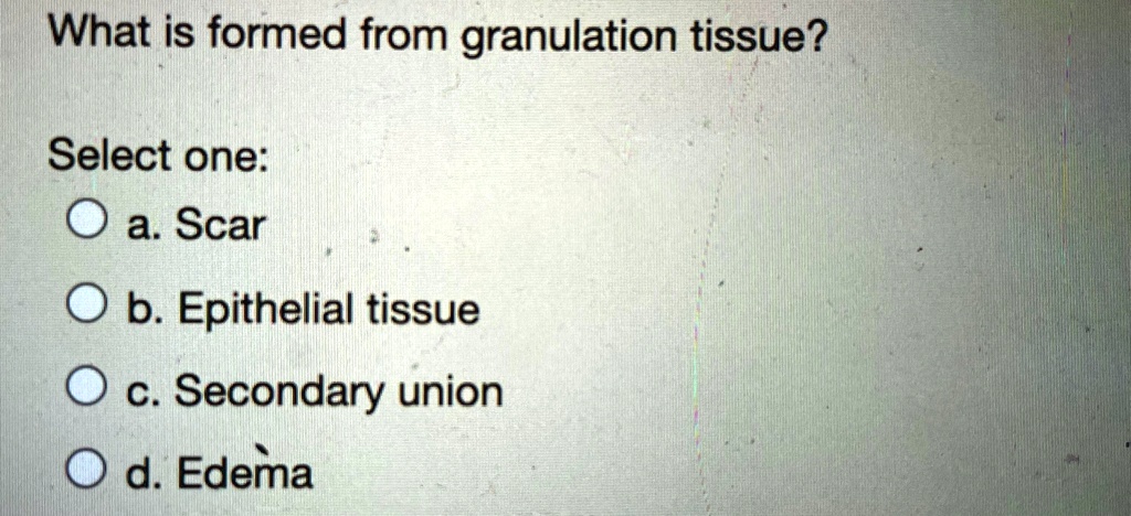 What is formed from granulation tissue? Select one: a. Scar b ...