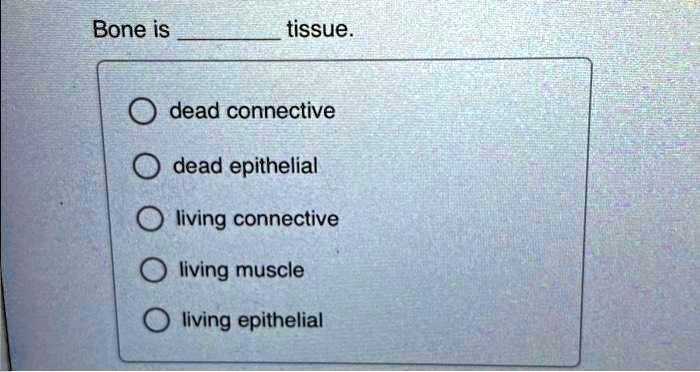 Texts: Bone is tissue. Dead connective tissue. Dead epithelial tissue ...