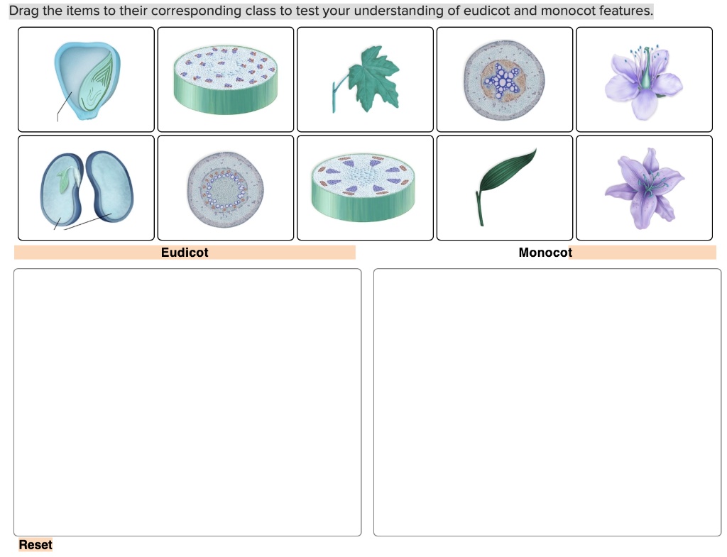 Drag the items to their corresponding class to test your understanding ...