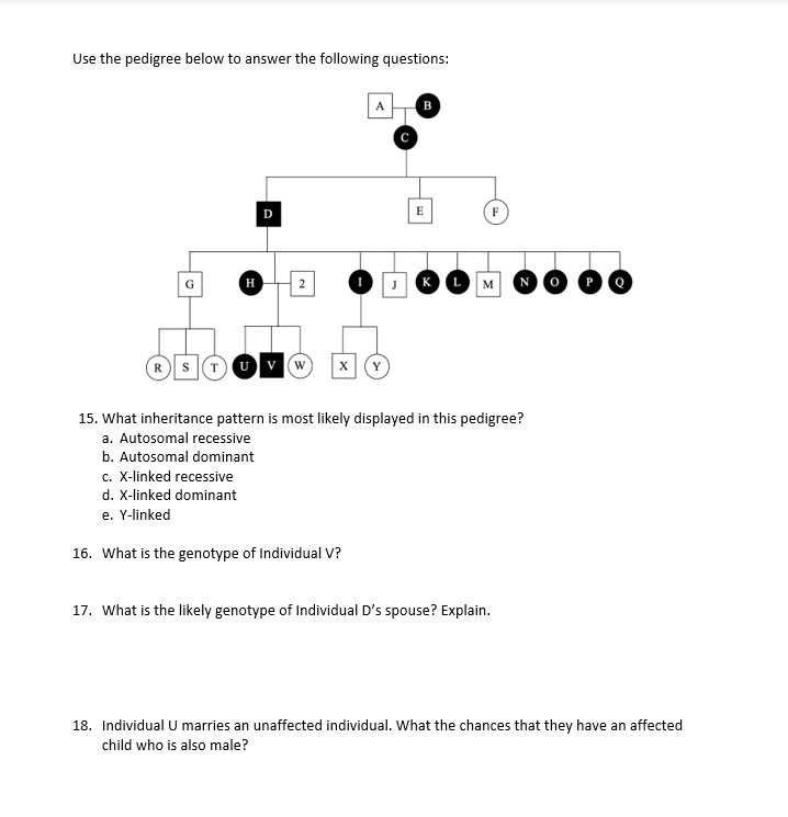 SOLVED: Use the pedigree below to answer the following questions: 15 ...