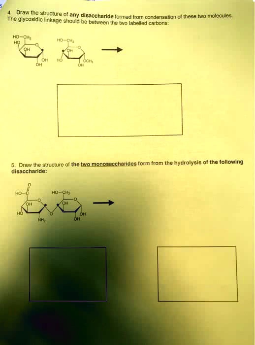 4. Draw the structure of any disaccharide formed from condensation of these two molecules. The ...