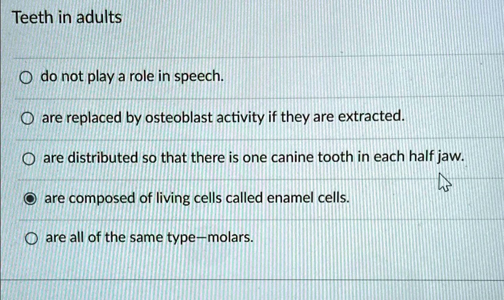 Teeth in adults ? do not play a role in speech. ? are replaced by ...