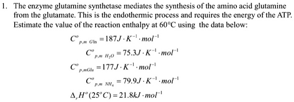 the enzyme glutamine synthetase mediates the synthesis of the amino ...