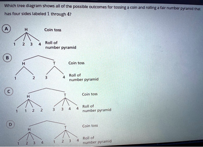 SOLVED: Which tree diagram shows all of the possible outcomes for ...