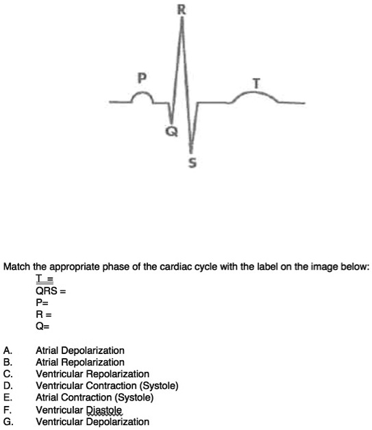 Match the appropriate phase of the cardiac cycle with the label on the ...