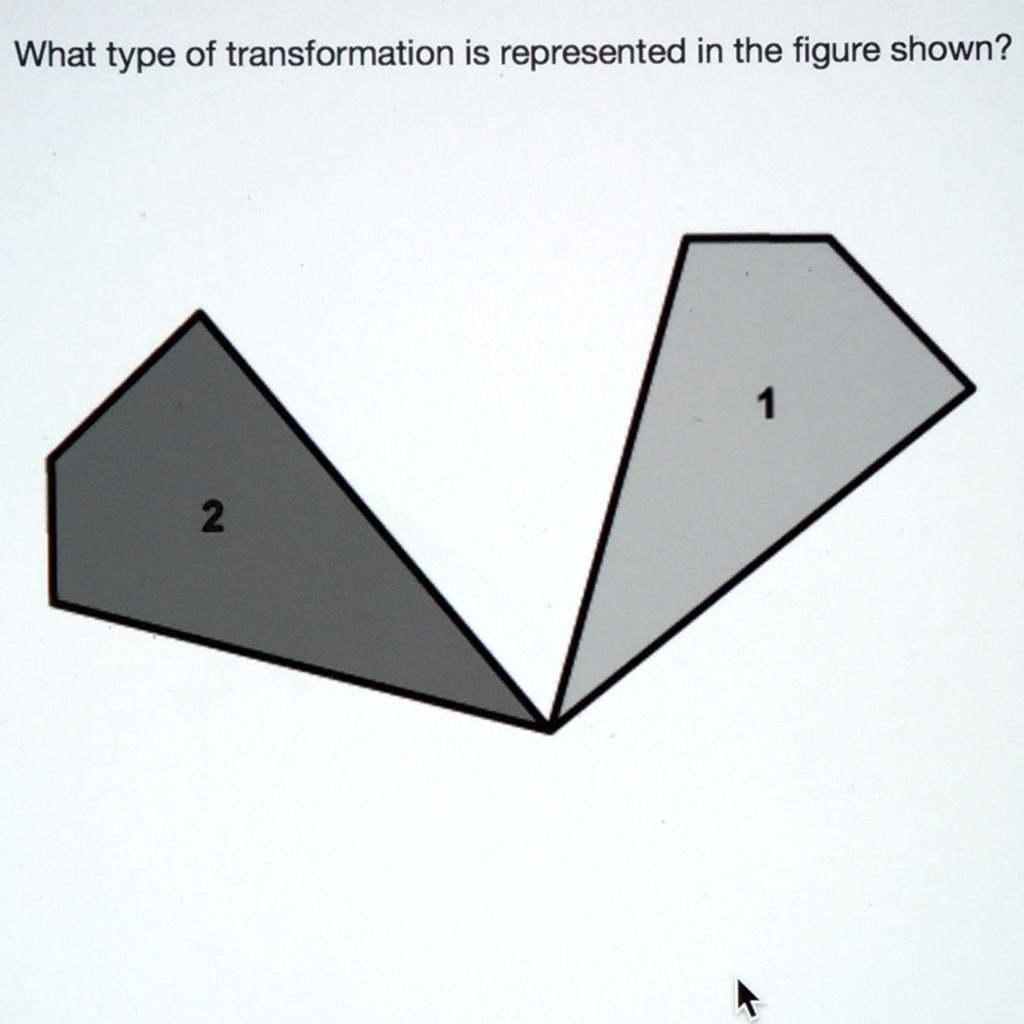 What Type Of Transformation Is Represented In The Figure Shown What