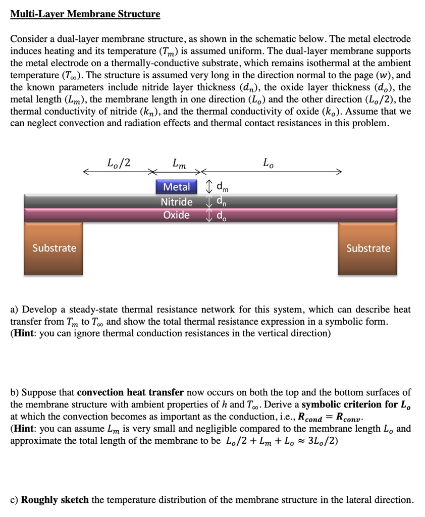 SOLVED: Multi-Layer Membrane Structure Consider a dual-layer membrane structure, as shown in the ...
