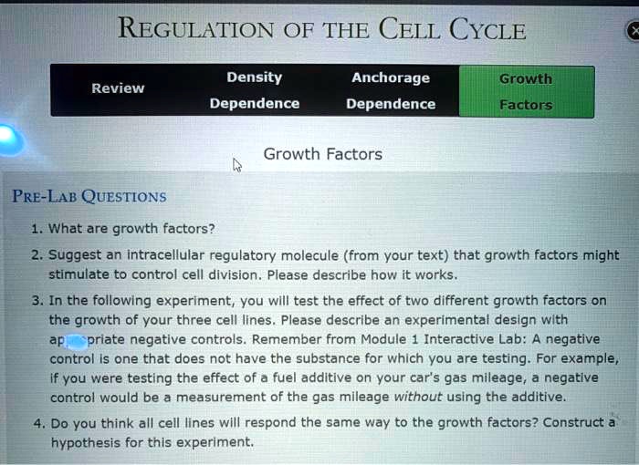 SOLVED: REGULATION OF THE CELL CYCLE Density Dependence Anchorage ...