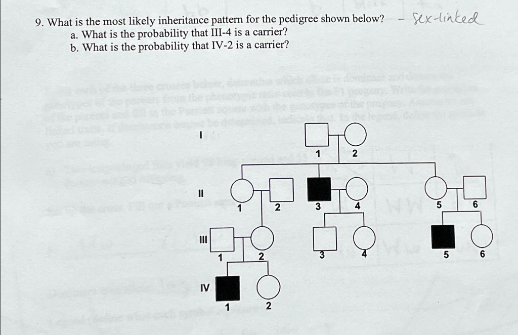 SOLVED: What is the most likely inheritance pattern for the pedigree ...