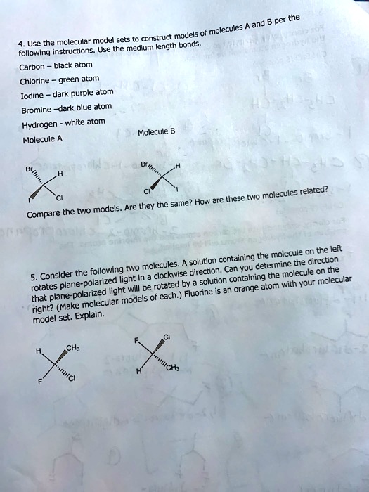 SOLVED:per the and molecules _ construct models Use the molecular model ...