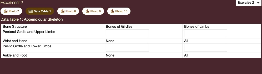 SOLVED: Experiment 2 Exercise 2 Photo 7 Data Table 1 Photo 8 Photo 9 Photo 10 Data Table 1 ...
