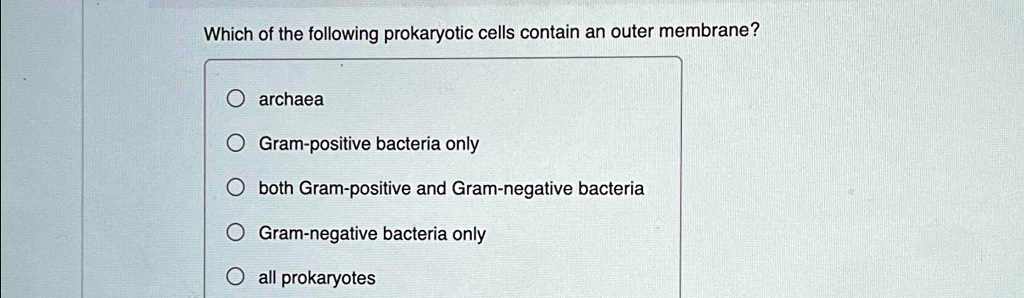 Which of the following prokaryotic cells contain an outer membrane ...