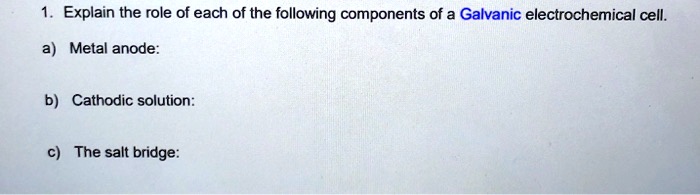 explain the role of each of the following components of a galvanic ...