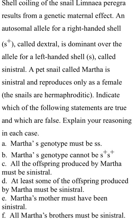 shell coiling of the snail limnaea peregra results from a genetic ...