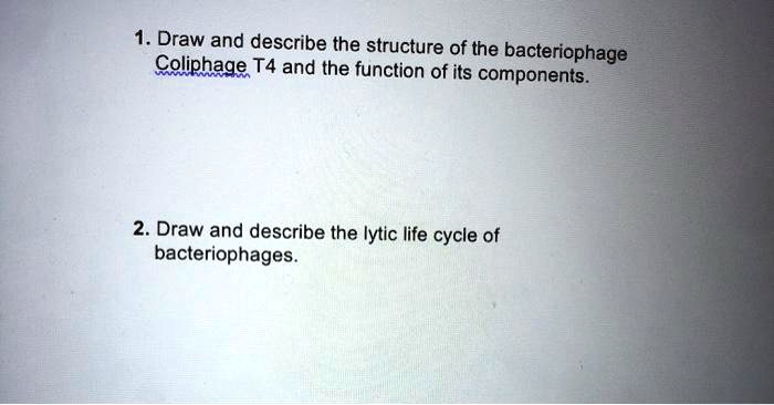 1 draw and describe the structure of the bacteriophage coliphage t4 and ...